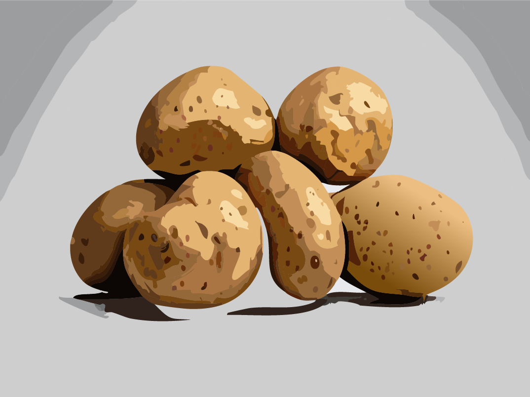 How to Use Amount vs. Number vs. Quantity in a Sentence